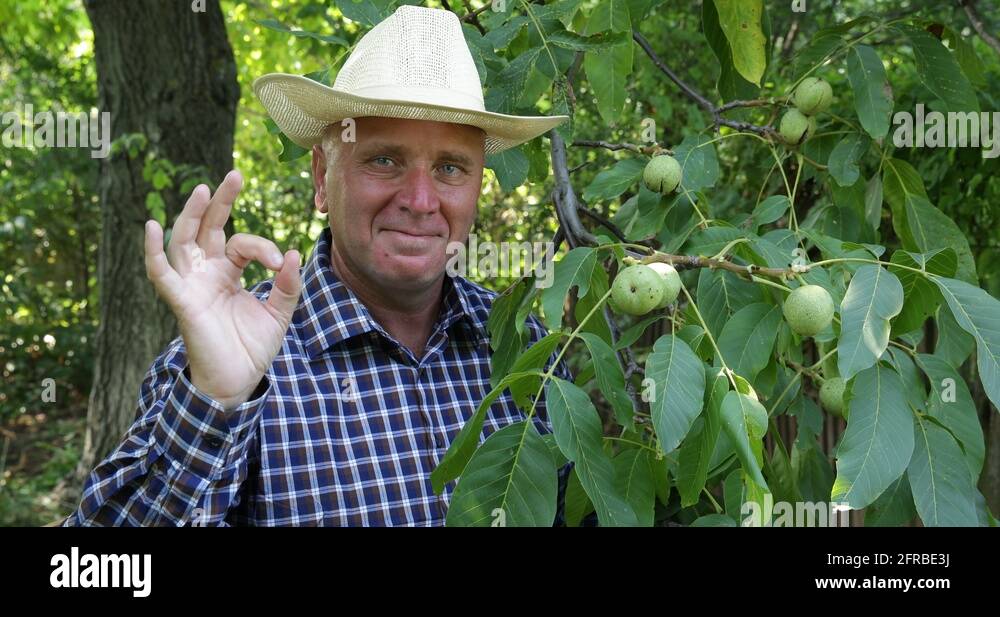 Good fruits Stock Videos & Footage - HD and 4K Video Clips - Alamy