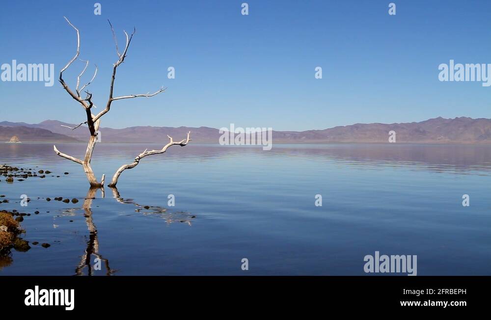 Pyramid lake indian reservation Stock Videos & Footage - HD and 4K ...