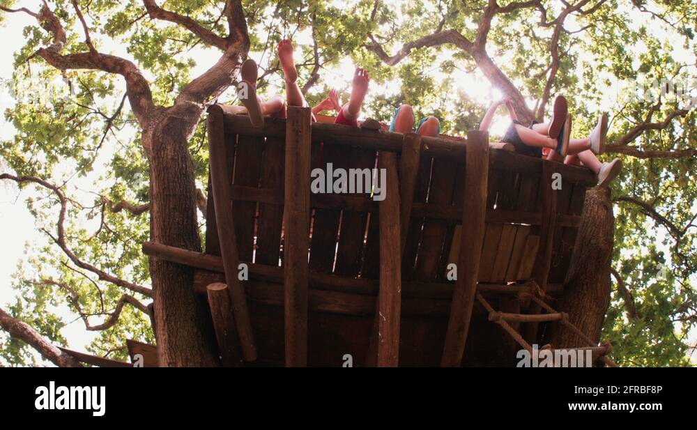 Children in tree house Stock Videos & Footage - HD and 4K Video Clips ...