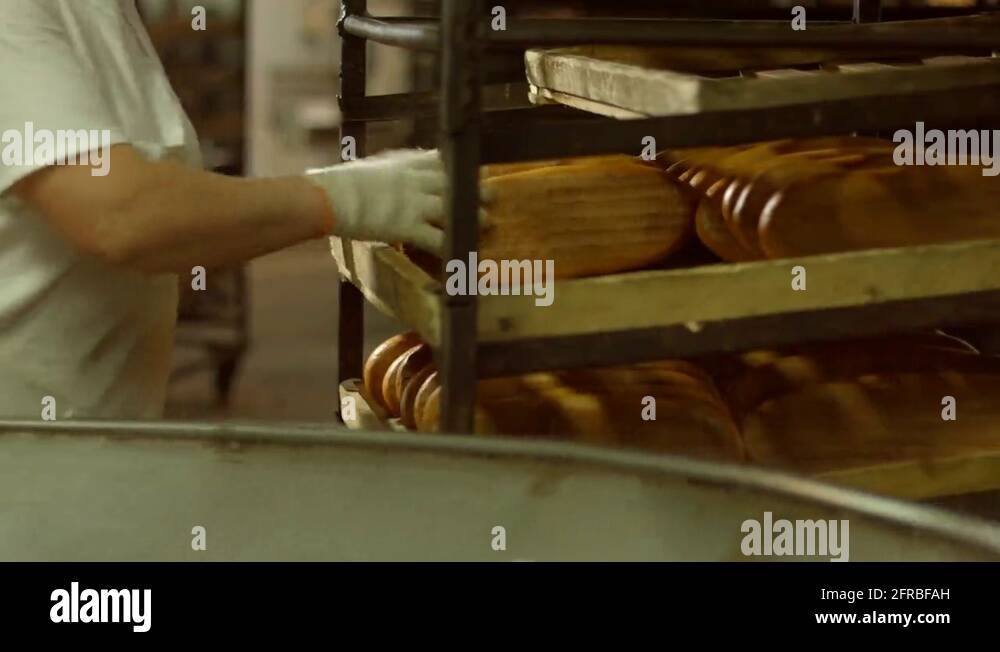 Woman stacking shelves Stock Videos & Footage - HD and 4K Video Clips ...