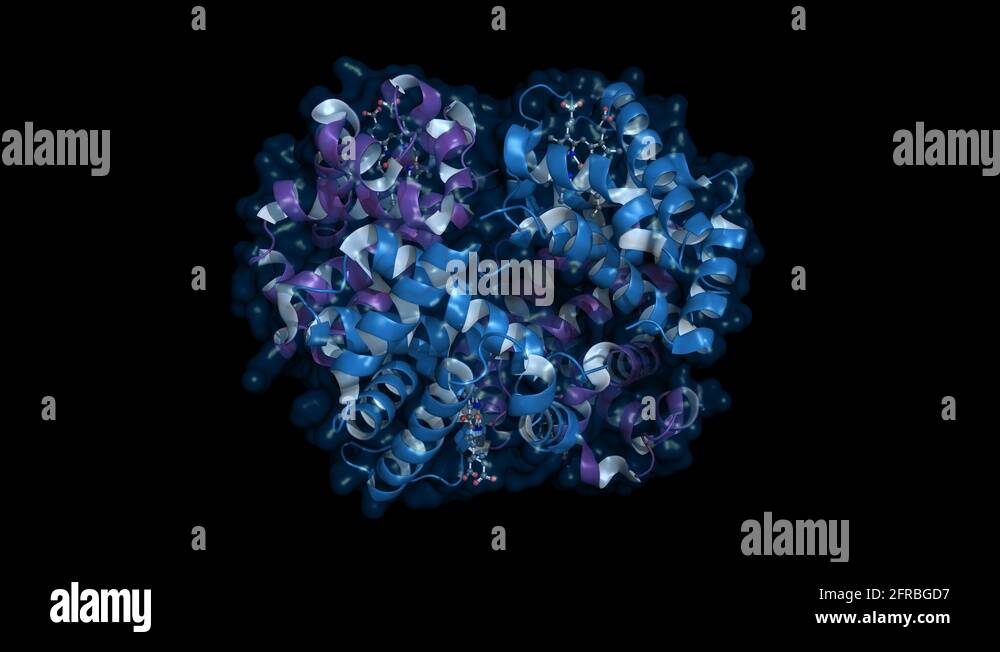 Blood hemoglobin cartoon Stock Videos & Footage - HD and 4K Video Clips ...