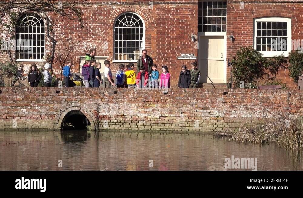 History of england Stock Videos & Footage - HD and 4K Video Clips - Alamy