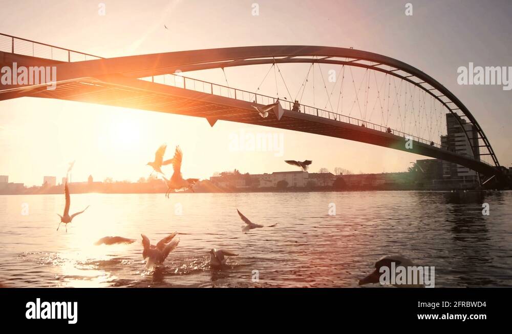 Road bridge flyover street light Stock Videos & Footage - HD and 4K ...