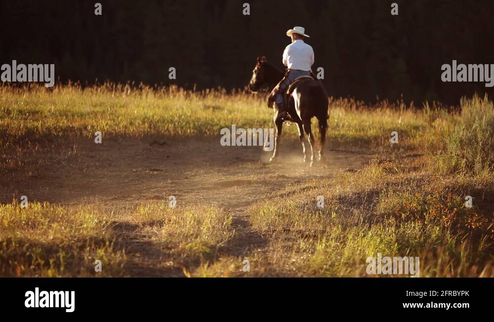 Cowboy lasso silhouette Stock Videos & Footage - HD and 4K Video Clips ...