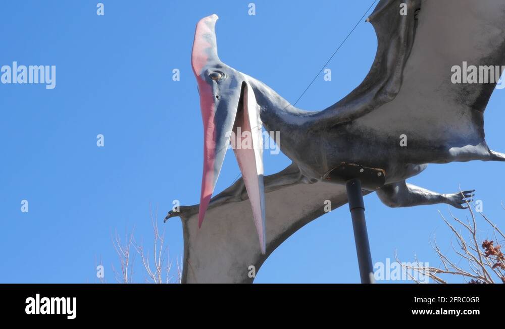 Pterodactyls Stock Videos & Footage - HD and 4K Video Clips - Alamy