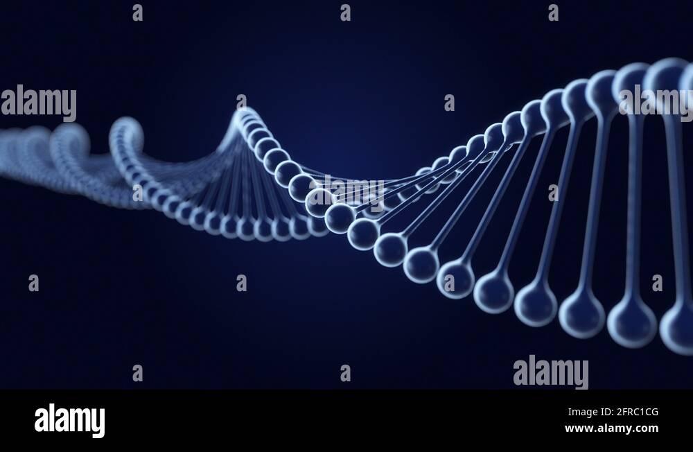 Rotating DNA with dark background. Seamless looping animation Stock ...
