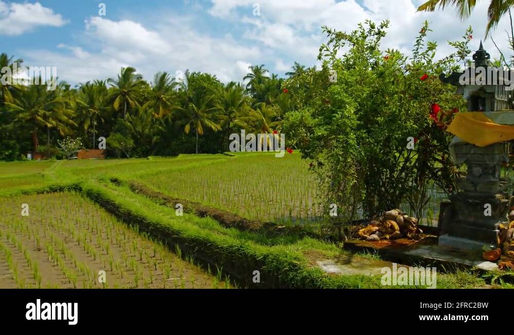 Field altar Stock Videos & Footage - HD and 4K Video Clips - Alamy
