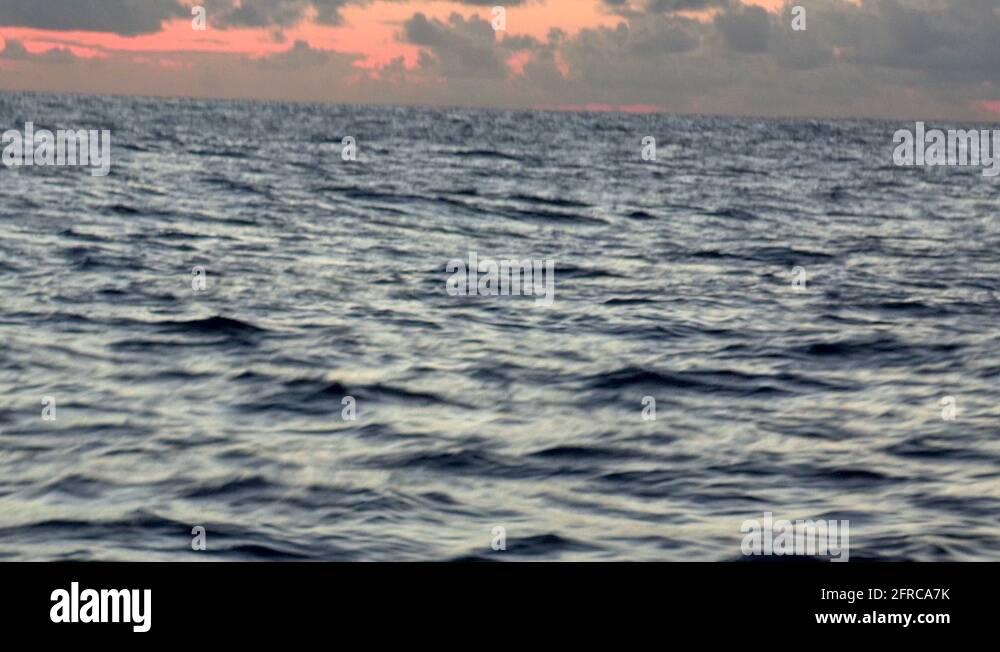 Ocean seas waves Stock Videos & Footage - HD and 4K Video Clips - Alamy