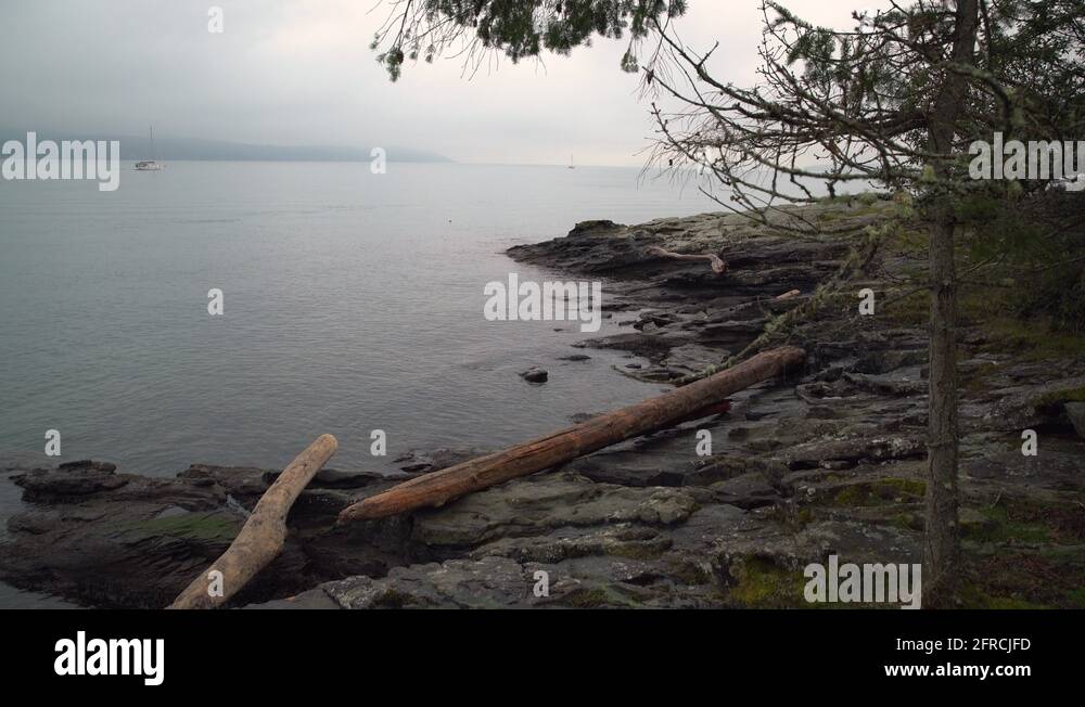 Ruckle provincial park salt spring island Stock Videos & Footage - HD ...