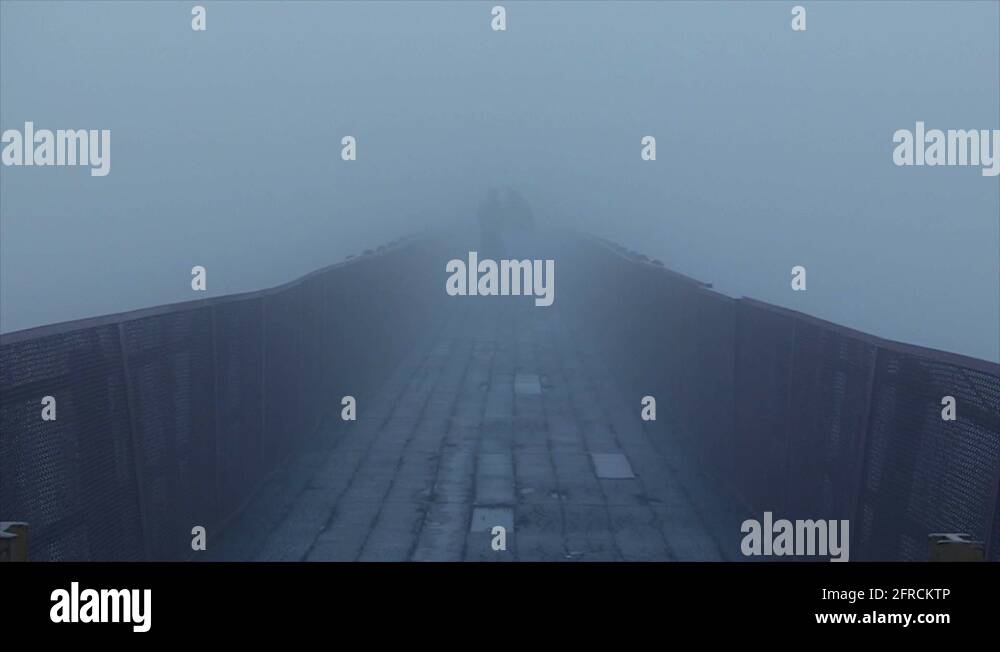 Misty moonlight Stock Videos & Footage - HD and 4K Video Clips - Alamy