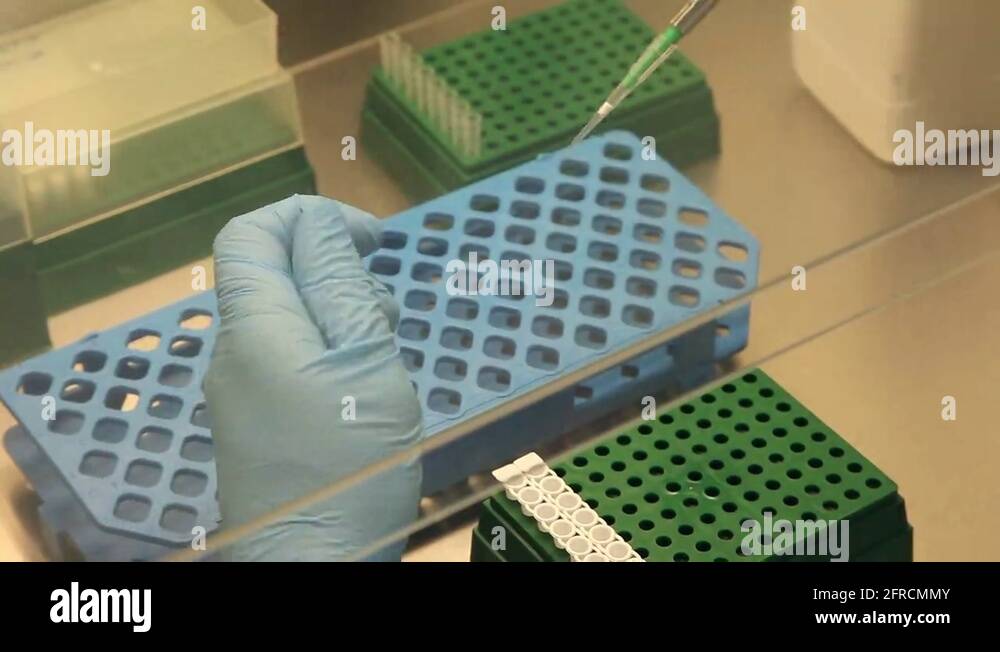 Tubes samples laboratory Stock Videos & Footage - HD and 4K Video Clips ...