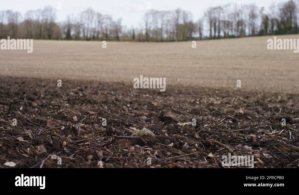Tilled earth Stock Videos & Footage - HD and 4K Video Clips - Alamy