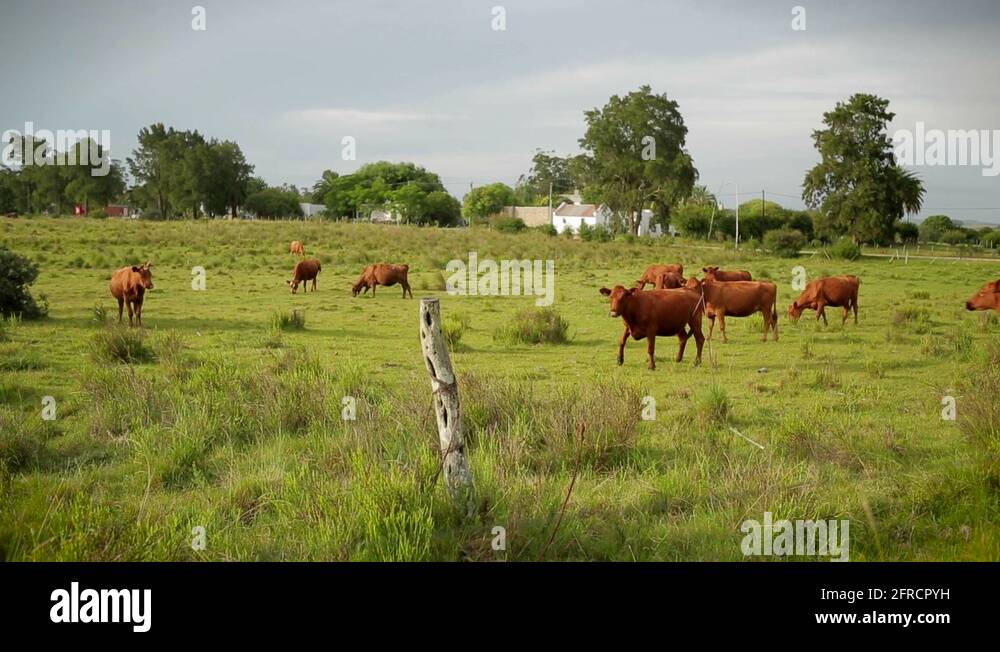 Non industrial Stock Videos & Footage - HD and 4K Video Clips - Alamy