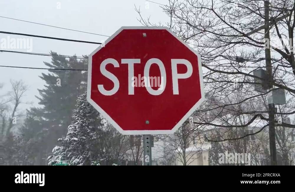 Stop sign trees in Stock Videos & Footage - HD and 4K Video Clips - Alamy