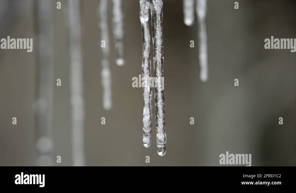Meting meting Stock Videos & Footage - HD and 4K Video Clips - Alamy