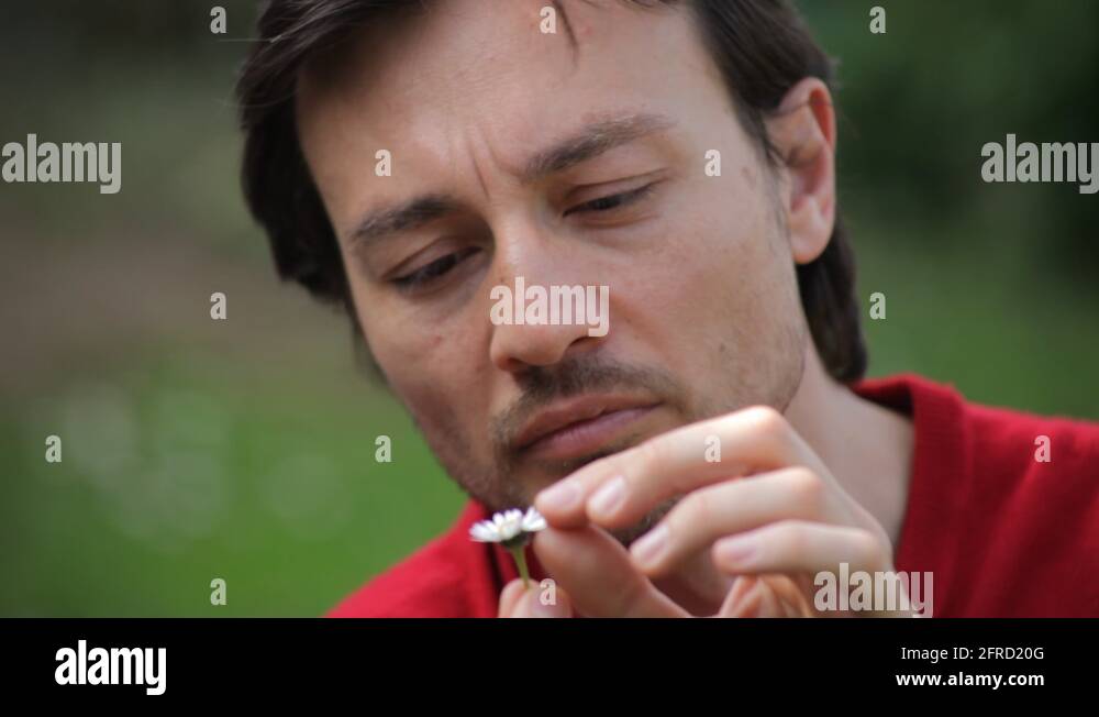 Man with a flower Stock Videos & Footage - HD and 4K Video Clips - Alamy