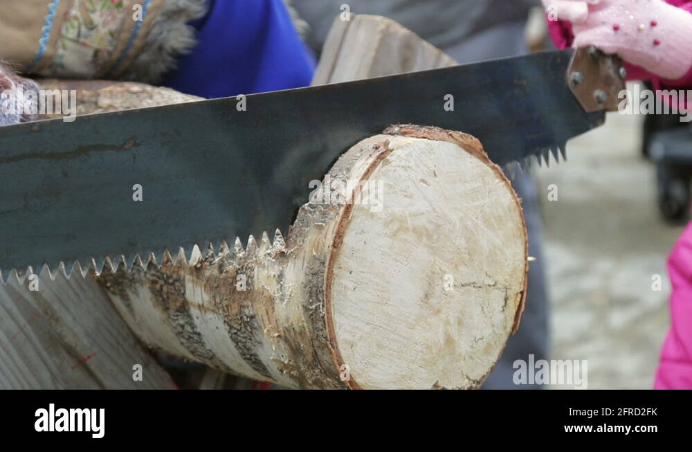 Log sawing Stock Videos & Footage - HD and 4K Video Clips - Alamy