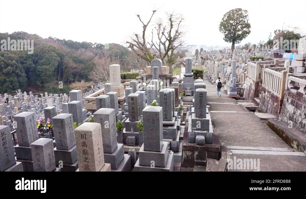 Kyoto japan shinto graveyard shrine Stock Videos & Footage - HD and 4K ...