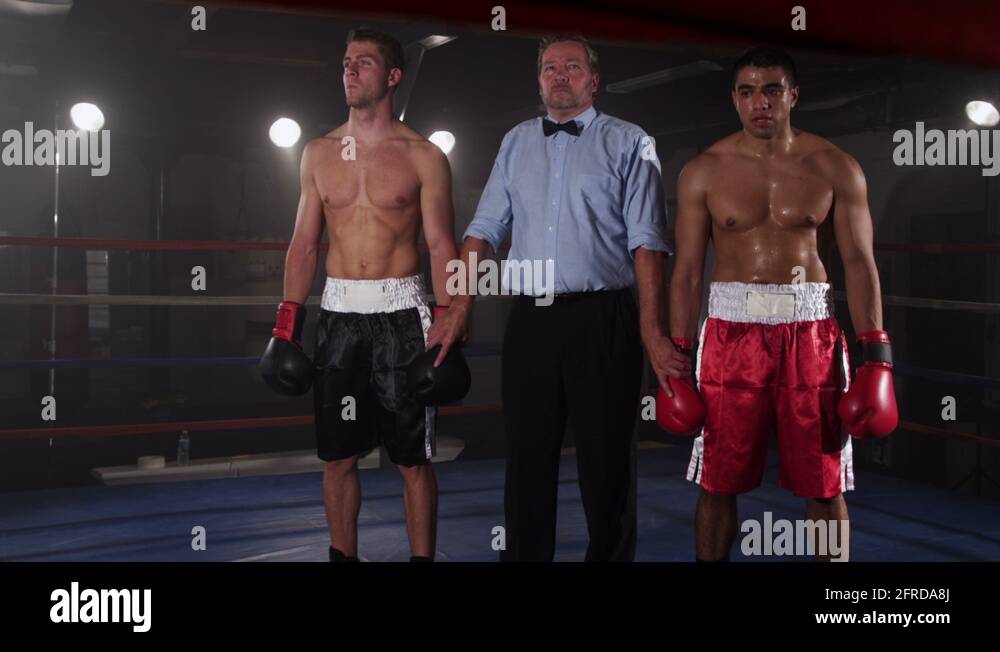 Boxing winner boxing Stock Videos & Footage - HD and 4K Video Clips - Alamy