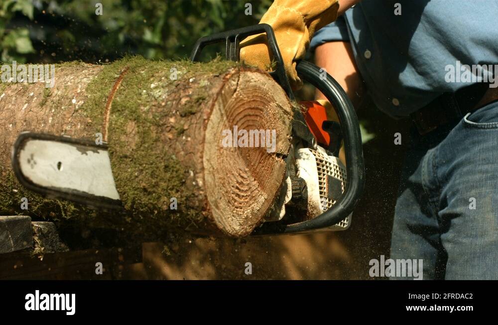 Man cutting log with chainsaw Stock Videos & Footage - HD and 4K Video ...