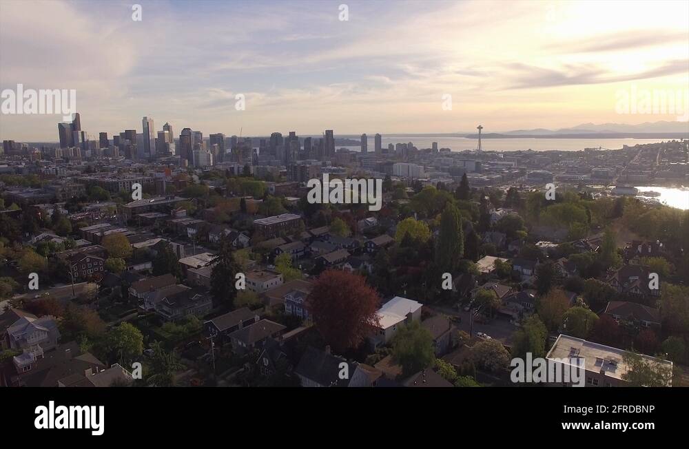 Fly Over Trees to Reveal Downtown Seattle Buildings in Epic View of ...