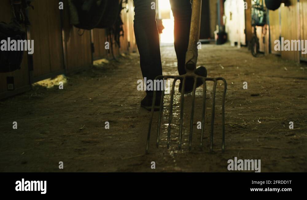 Man dragging on the ground Stock Videos & Footage - HD and 4K Video ...