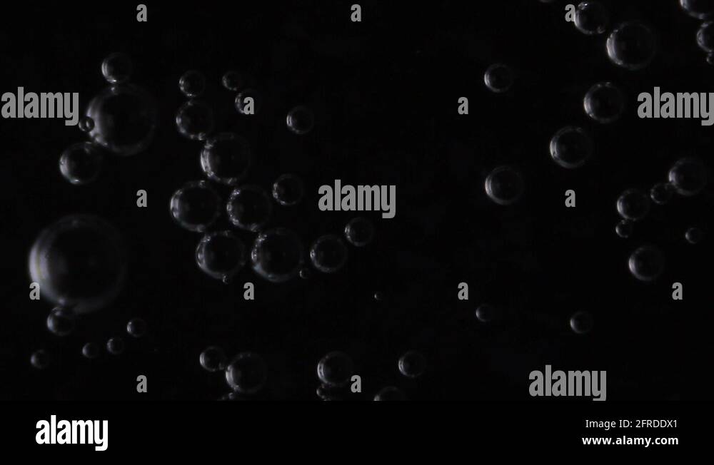 Water bubbles under the microscope Stock Video Footage - Alamy