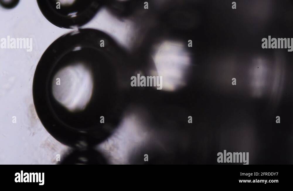 Water bubbles under the microscope Stock Video Footage - Alamy