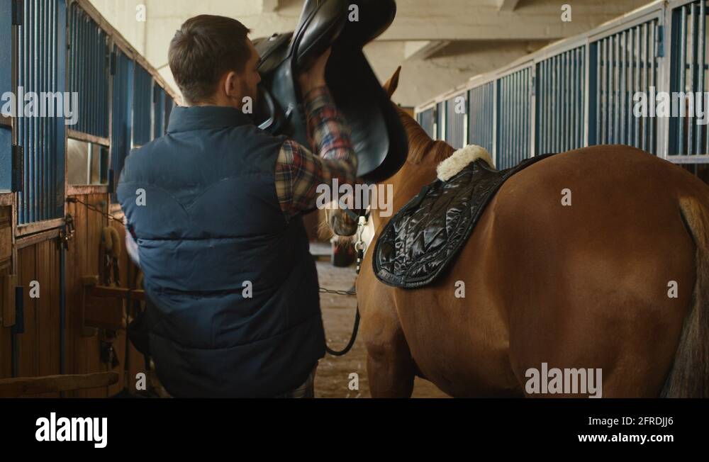 Preparing a horse Stock Videos & Footage - HD and 4K Video Clips - Alamy
