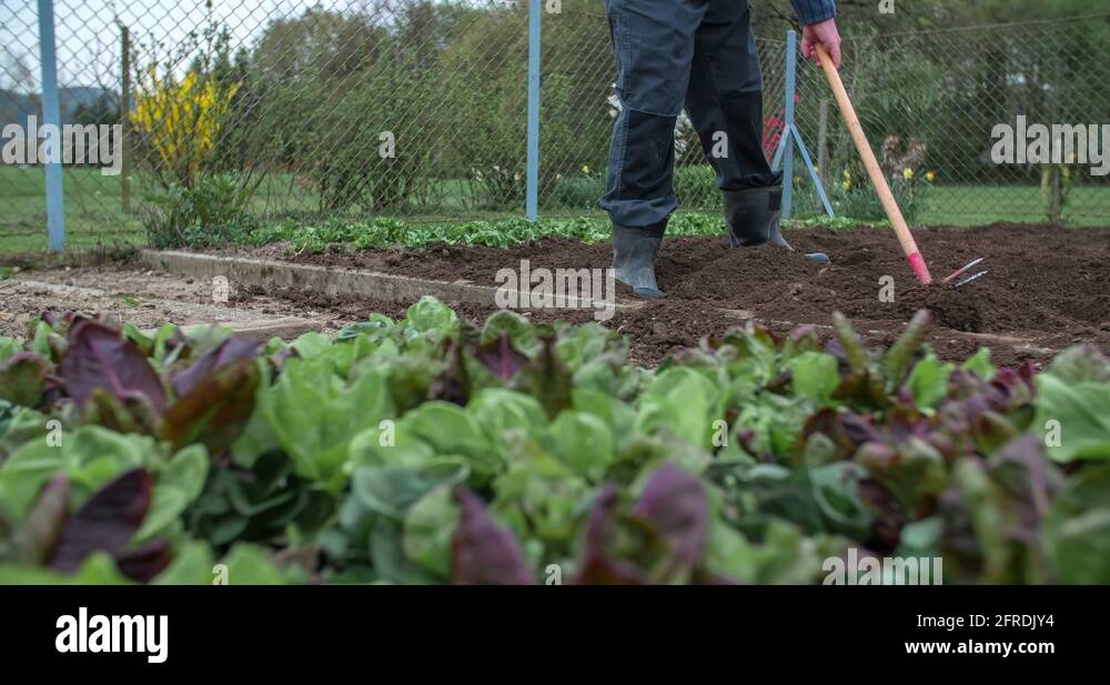 Manure bed Stock Videos & Footage - HD and 4K Video Clips - Alamy