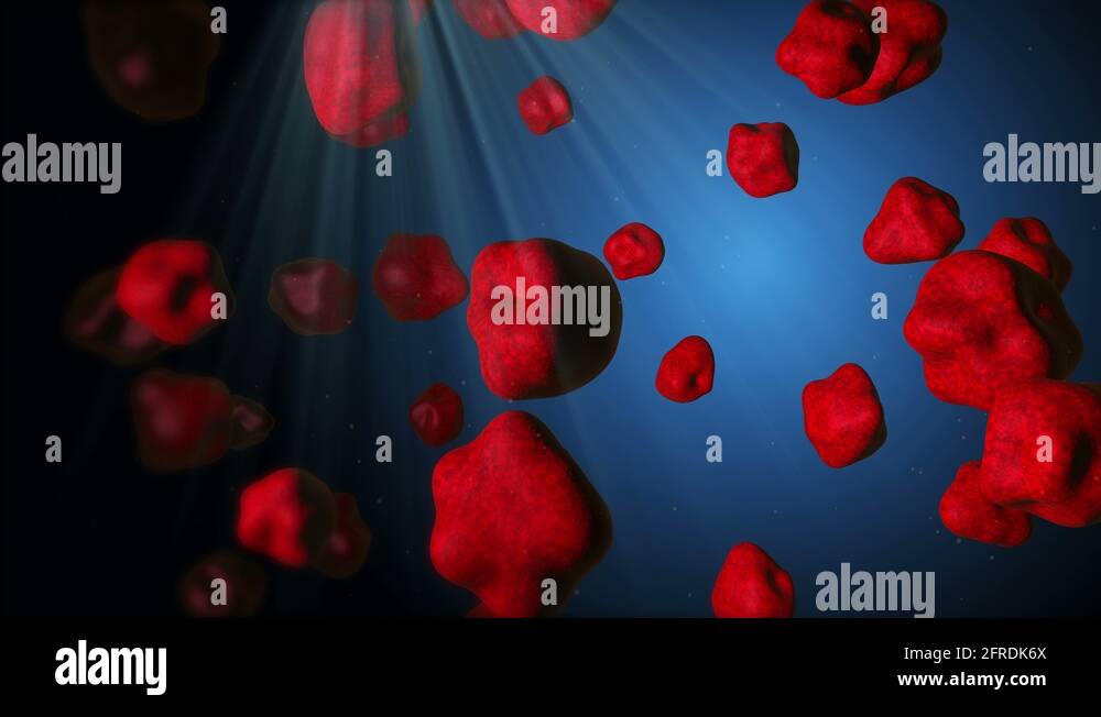 Human cells dividing microscope Stock Videos & Footage - HD and 4K ...