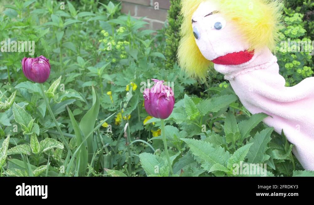 Funny smelling Stock Videos & Footage - HD and 4K Video Clips - Alamy