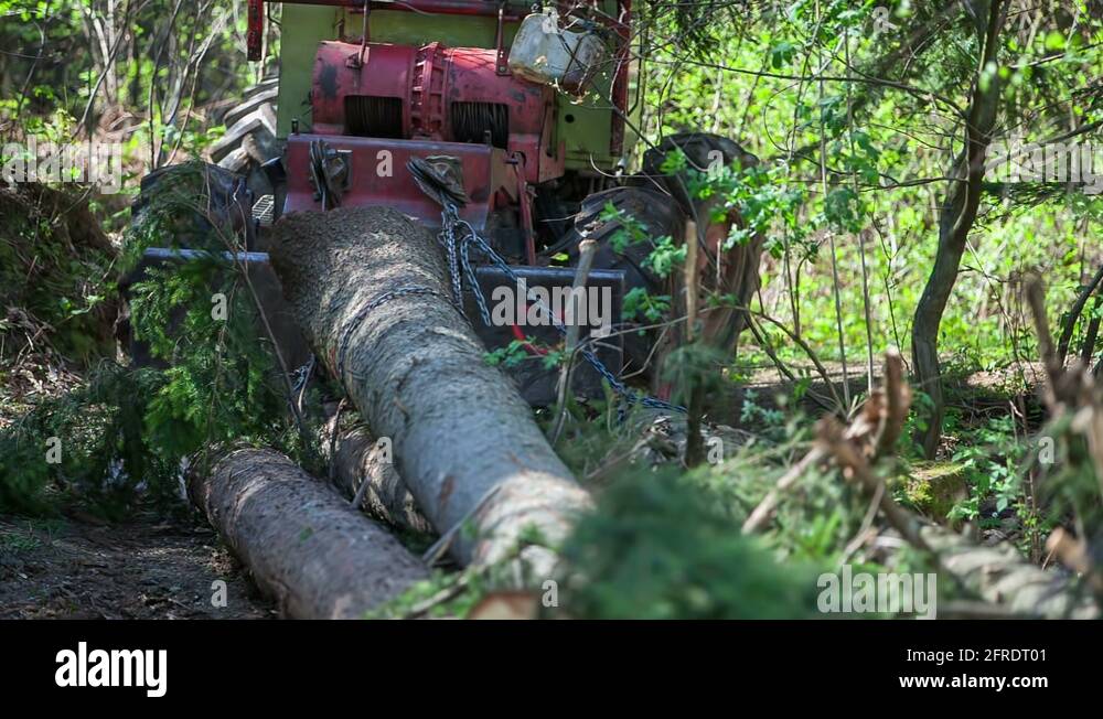 Pulling trees Stock Videos & Footage - HD and 4K Video Clips - Alamy