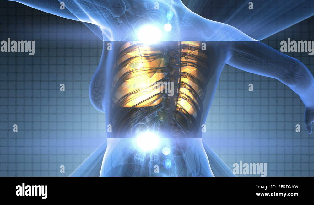 science anatomy scan of human body in x-ray with glow lungs on blue ...