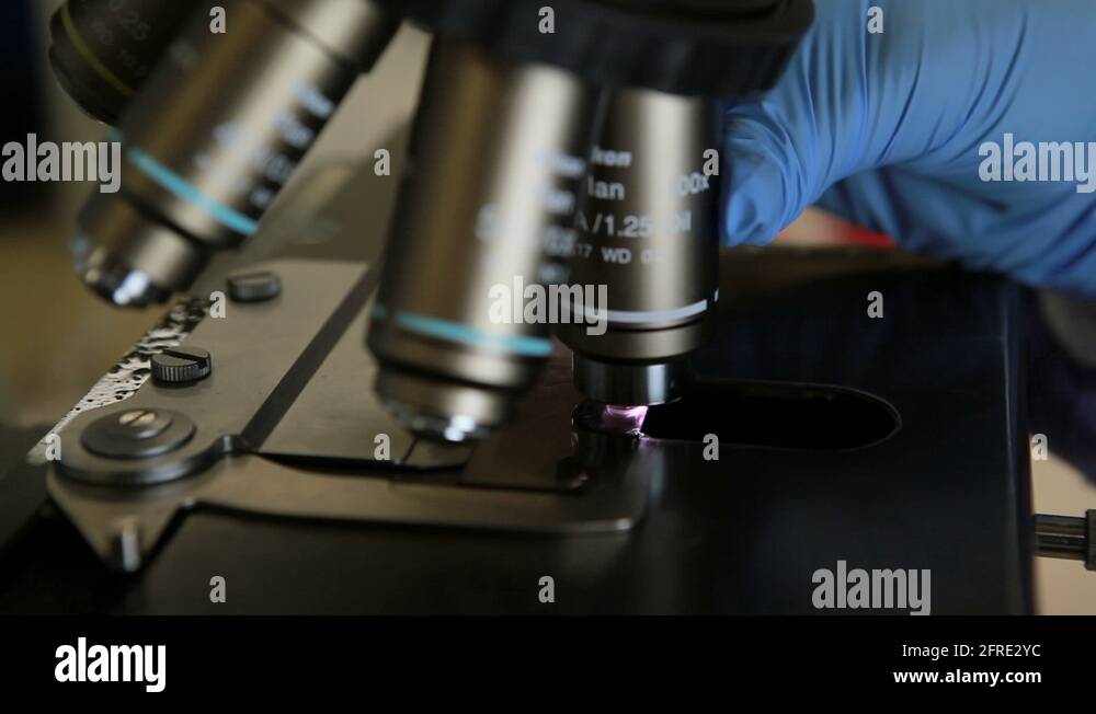 Using Hospital Lab Microscope Stock Video Footage - Alamy