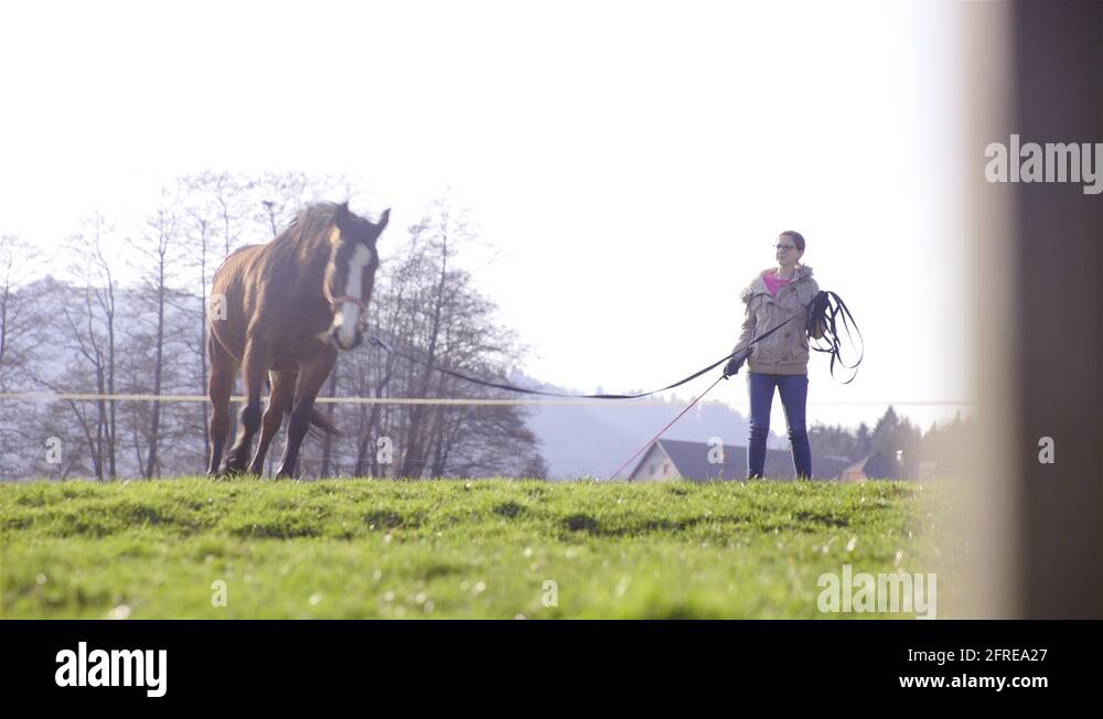 Horse walk around woman and change direction 4K Stock Video Footage - Alamy