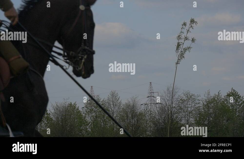 Possession Stock Videos & Footage - HD and 4K Video Clips - Alamy