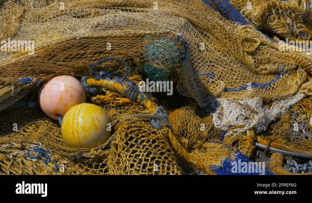 Float balls Stock Videos & Footage - HD and 4K Video Clips - Alamy