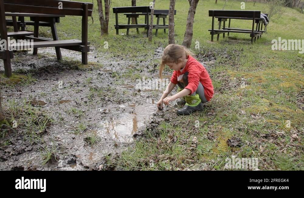 Little mud pond Stock Videos & Footage - HD and 4K Video Clips - Alamy