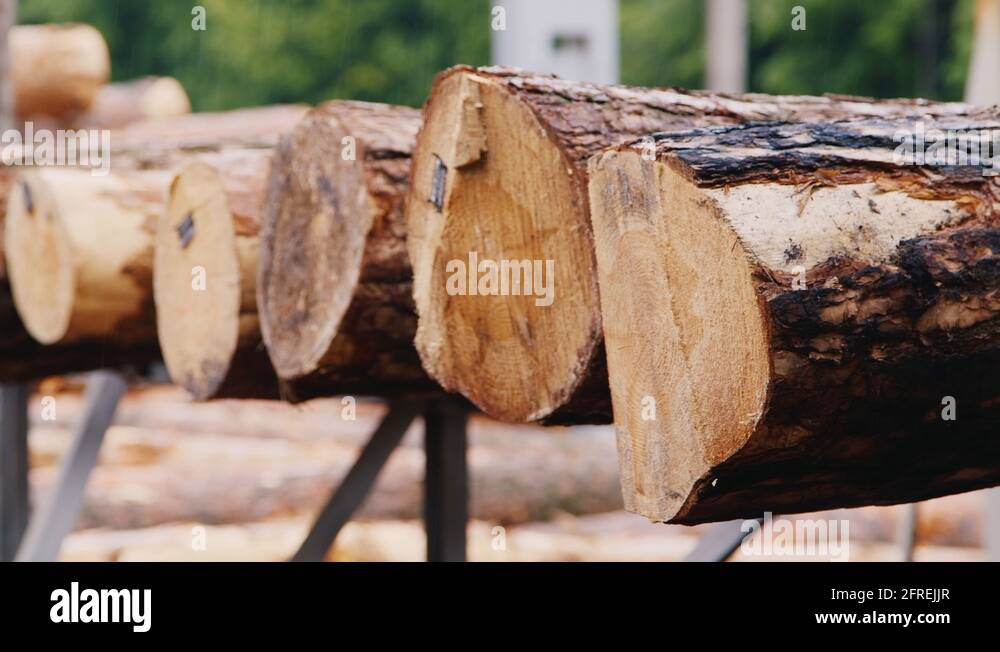 Rain water harvesting building Stock Videos & Footage - HD and 4K Video ...