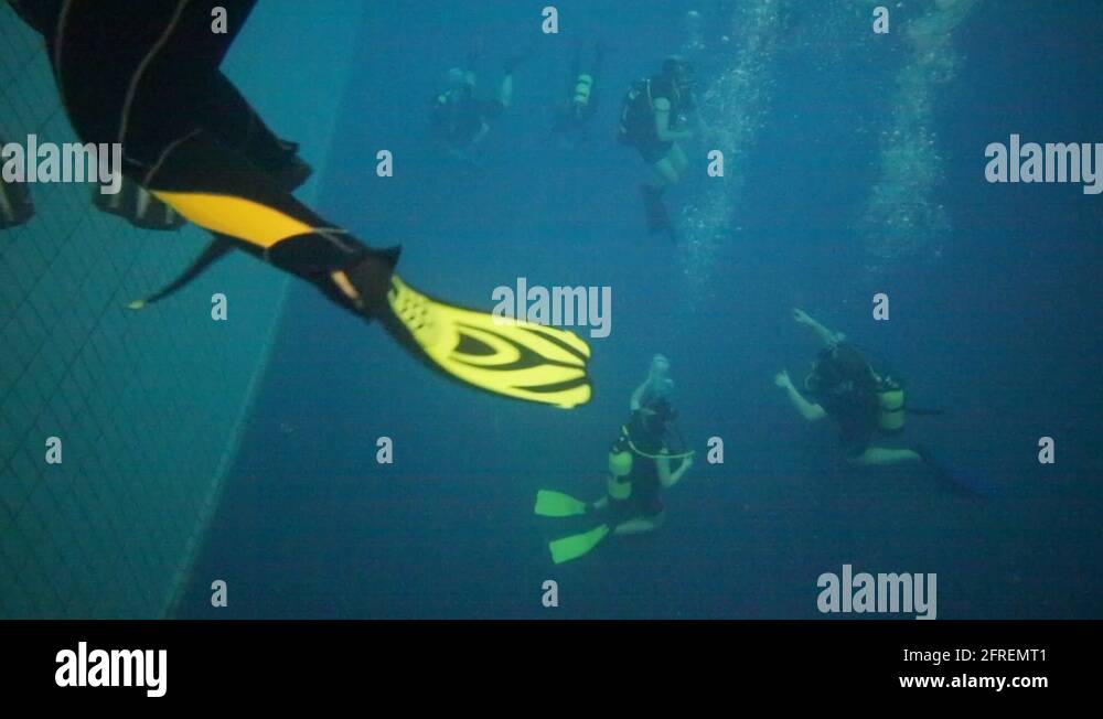 Many legs in pool Stock Videos & Footage - HD and 4K Video Clips - Alamy