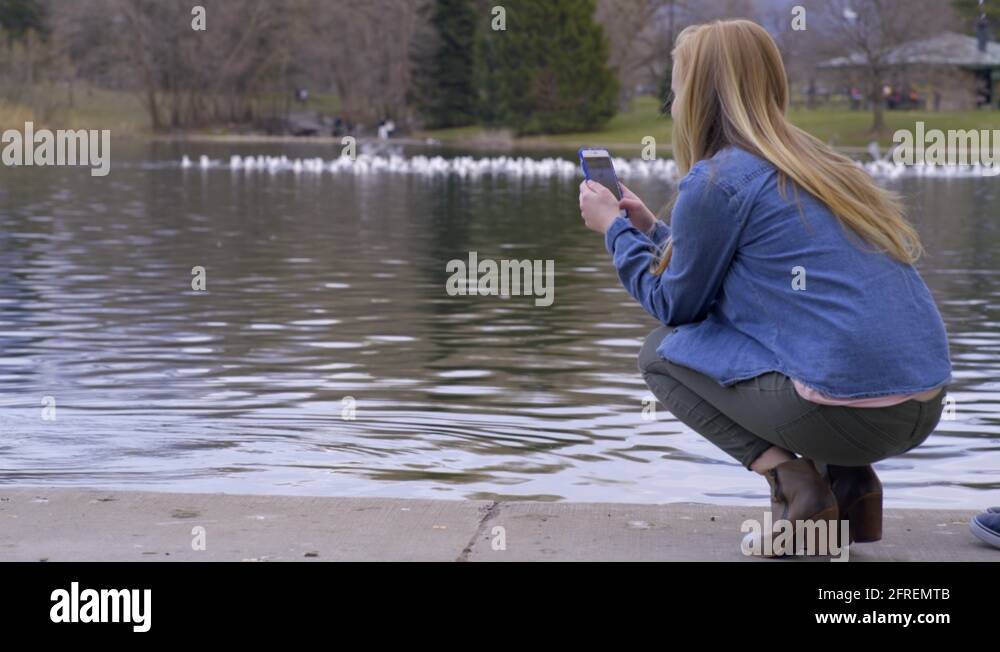 Goose steps Stock Videos & Footage - HD and 4K Video Clips - Alamy