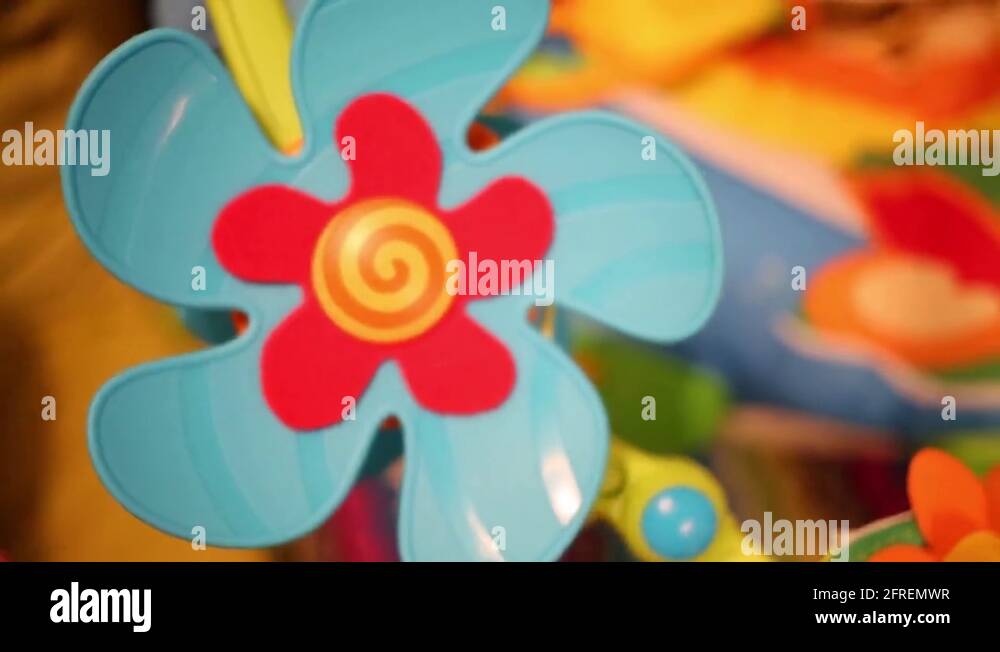 Fan flower Stock Videos & Footage - HD and 4K Video Clips - Alamy