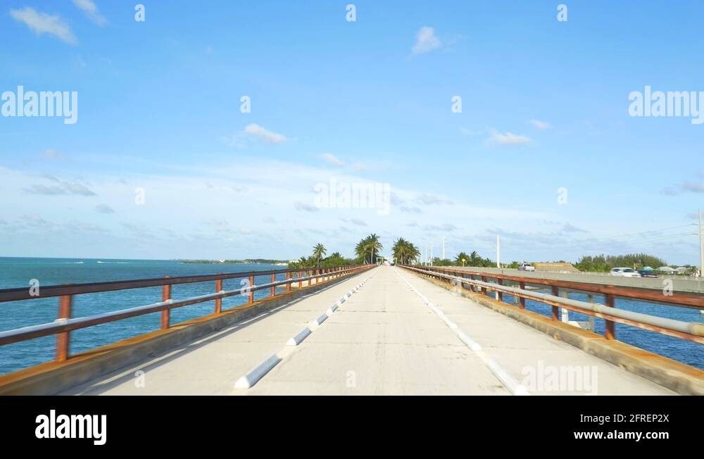 Pigeon key Stock Videos & Footage - HD and 4K Video Clips - Alamy