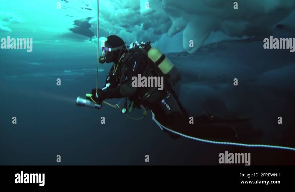 Diving midair Stock Videos & Footage - HD and 4K Video Clips - Alamy