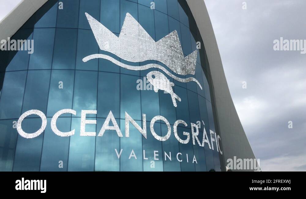 Oceanografic valencia Stock Videos & Footage - HD and 4K Video Clips ...