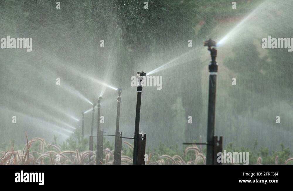 Sprinkle Stock Videos & Footage - HD and 4K Video Clips - Alamy