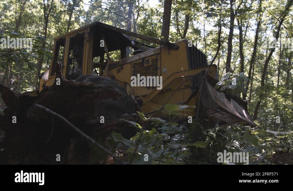 Logging machine Stock Videos & Footage - HD and 4K Video Clips - Alamy