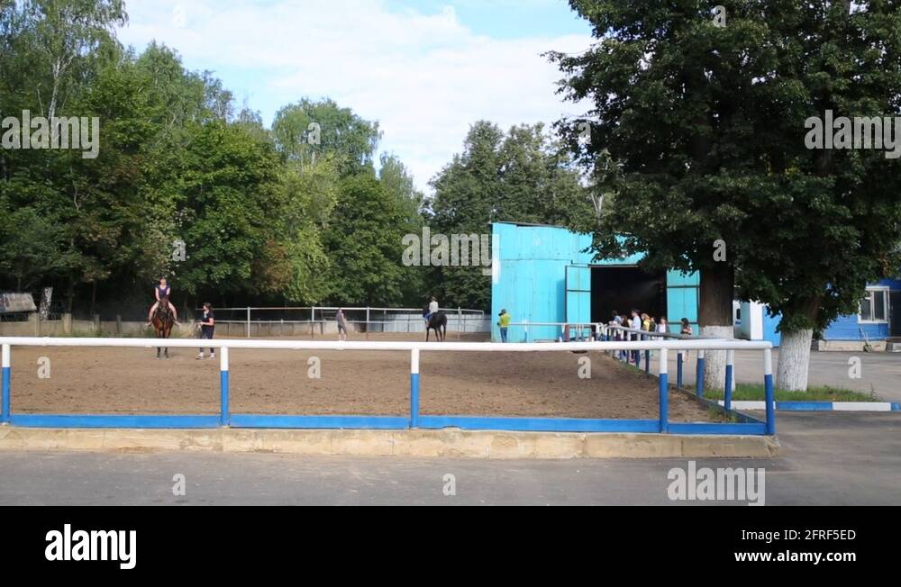 Paddock building Stock Videos & Footage - HD and 4K Video Clips - Alamy