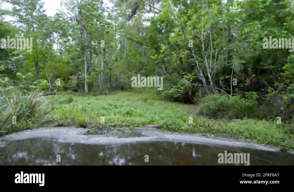 Filminglocation Stock Videos & Footage - HD and 4K Video Clips - Alamy